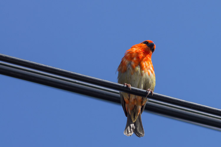 Photographs of Reunion